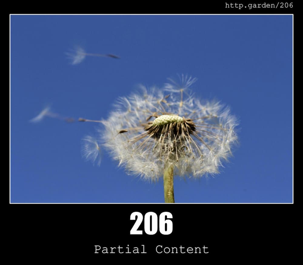 206 Partial Content HTTP Status Code And Gardening 
