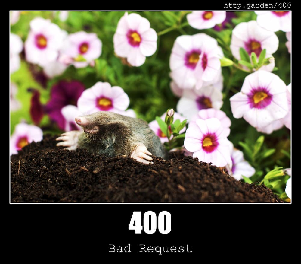 400 Bad Re HTTP Status Code And Gardening 