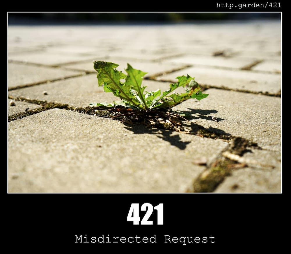 421 Misdirected Request HTTP Status Code And Gardening 421 Misdirected Request HTTP Status Code And Gardening