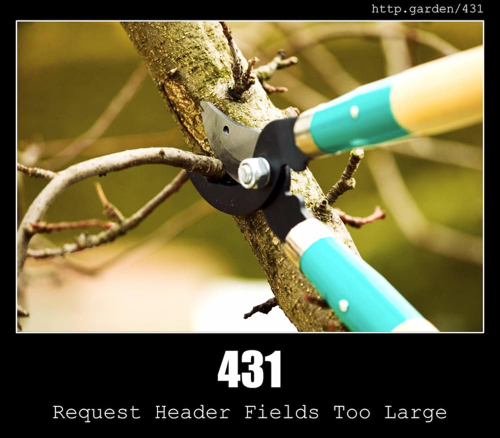 431 Request Header Fields Too Large HTTP Status Code And Gardening 431 Request Header Fields Too Large HTTP Status Code And Gardening