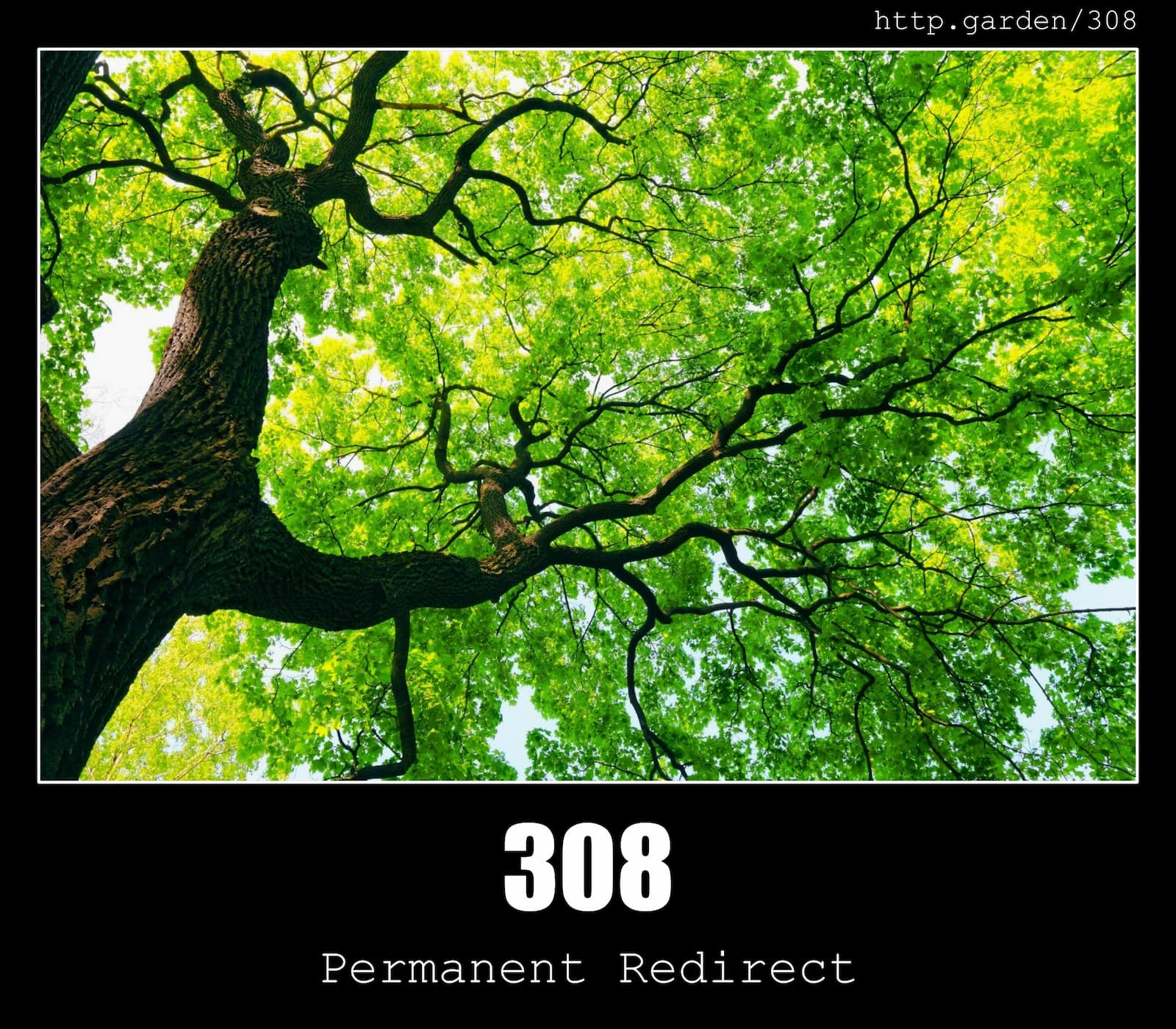 308 Permanent Redirect HTTP Status Code And Gardening 308 Permanent Redirect HTTP Status Code And Gardening