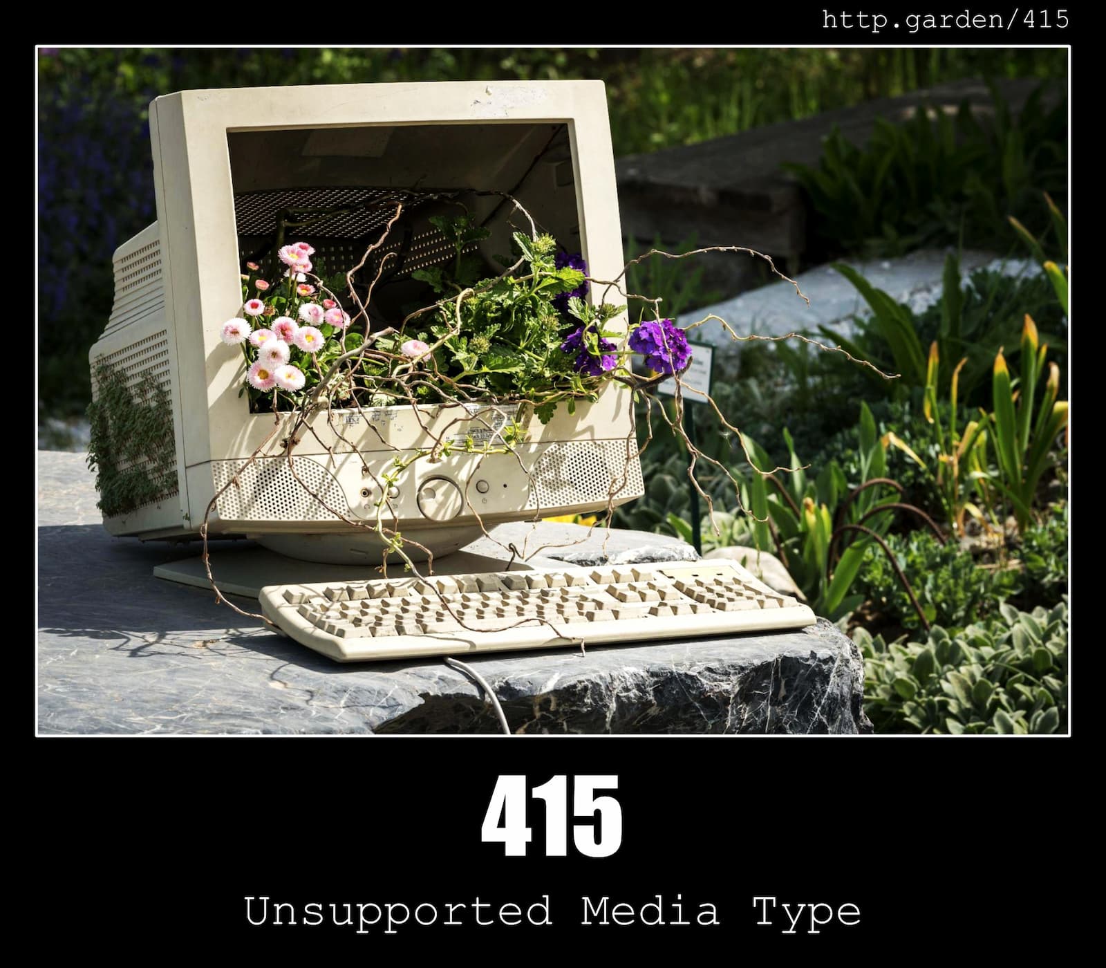415 Unsupported Media Type HTTP Status Code And Gardening 415 Unsupported Media Type HTTP Status Code And Gardening