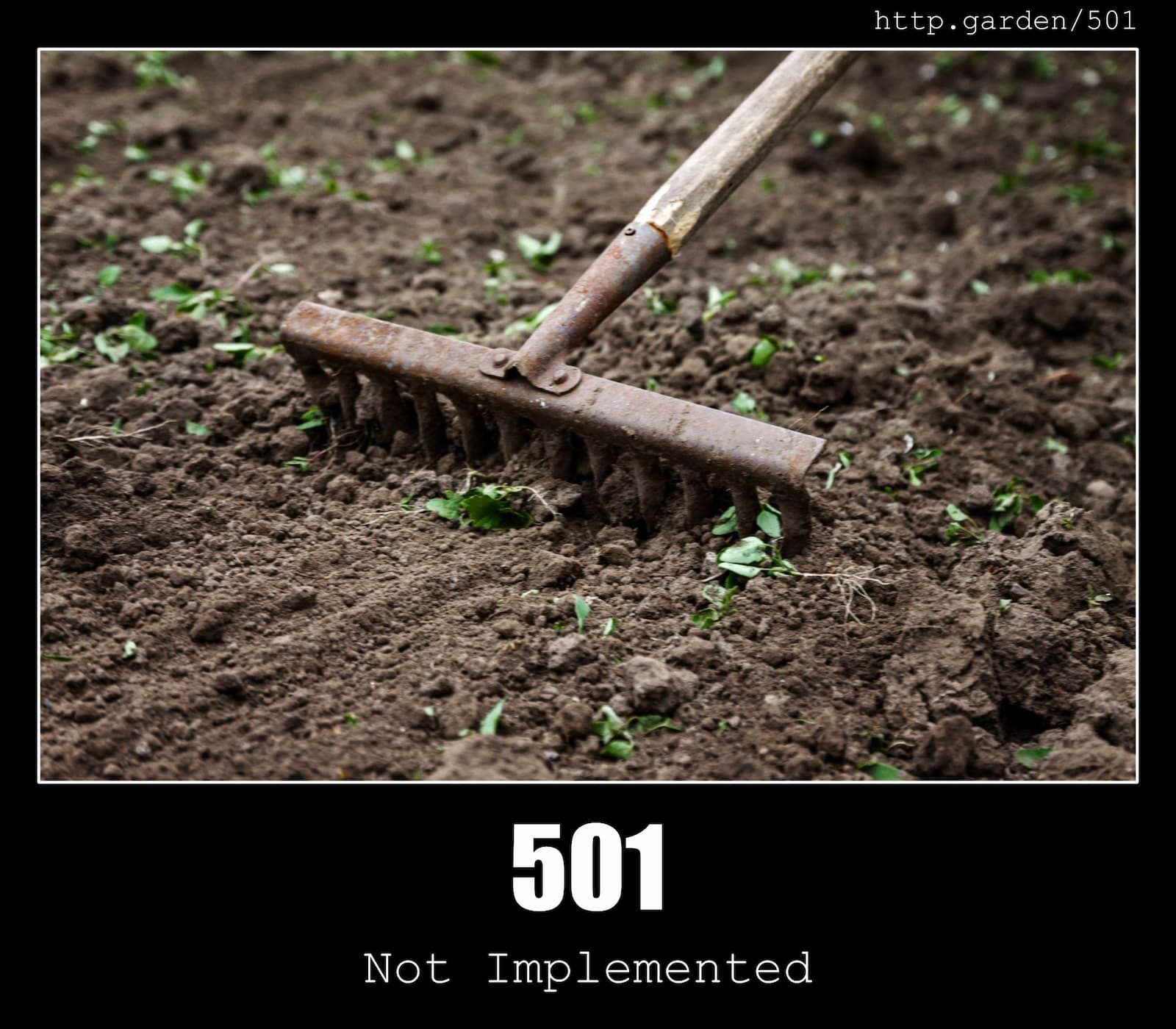 501 Not Implemented HTTP Status Code And Gardening 