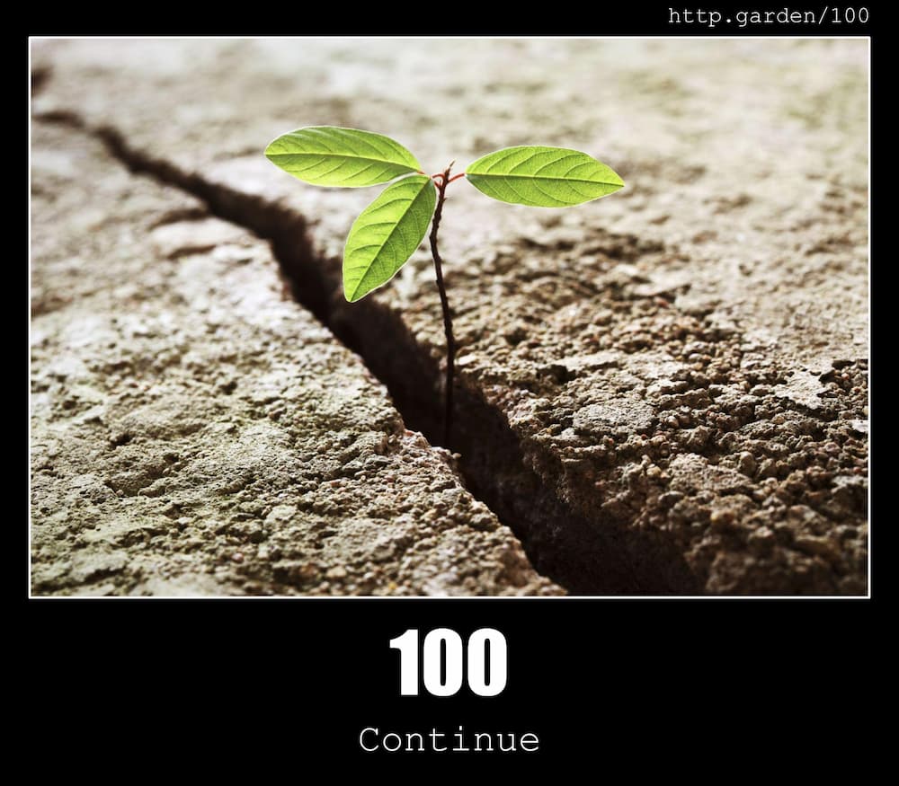 100 Continue - HTTP status code and dogs!