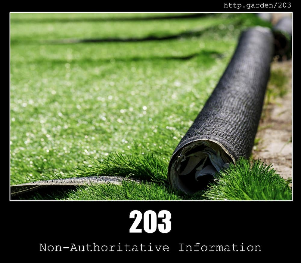 203 Non-Authoritative Information - HTTP status code and cats!