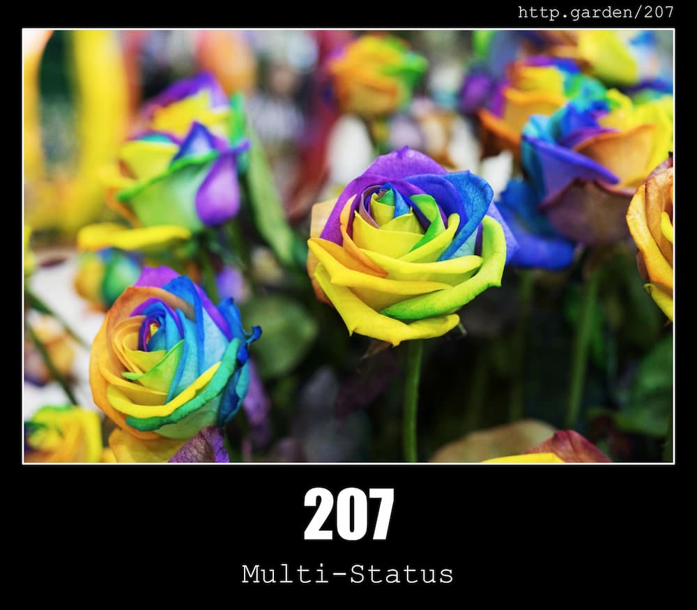 207 Multi-Status - HTTP status code and cats!