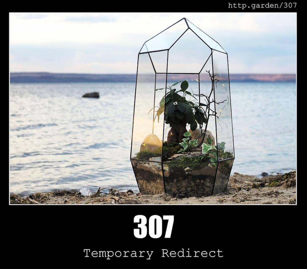307 Temporary Redirect - HTTP status code and dogs!