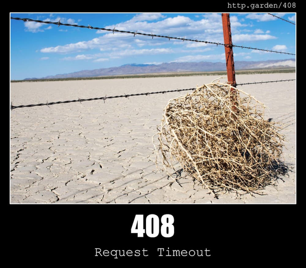 408 Request Timeout - HTTP status code and dogs!