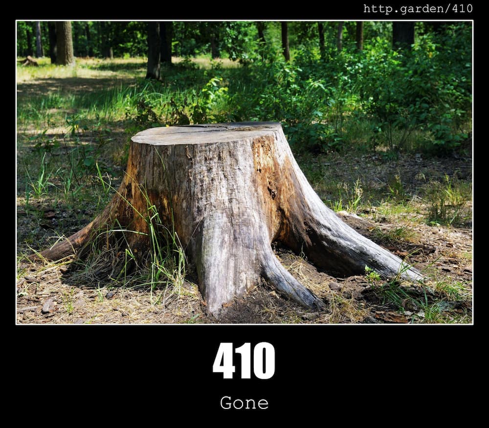410 Gone HTTP Status Code And Dogs 