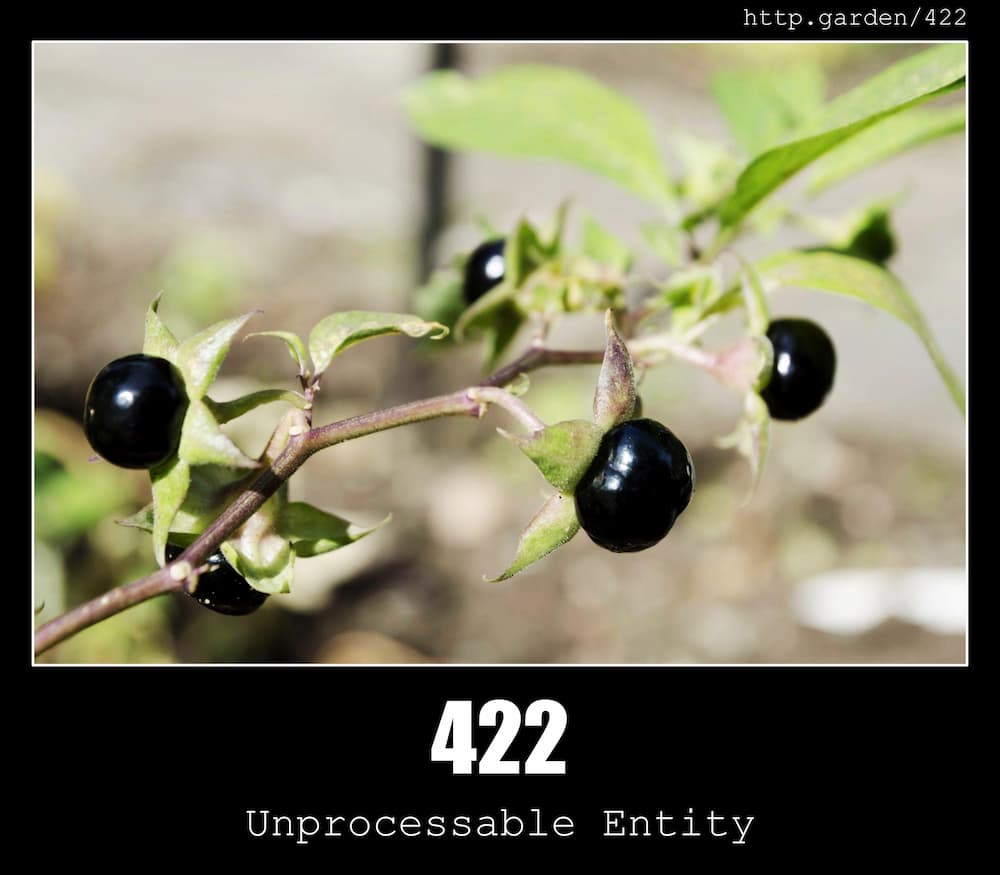 422 Unprocessable Entity - HTTP status code and dogs!