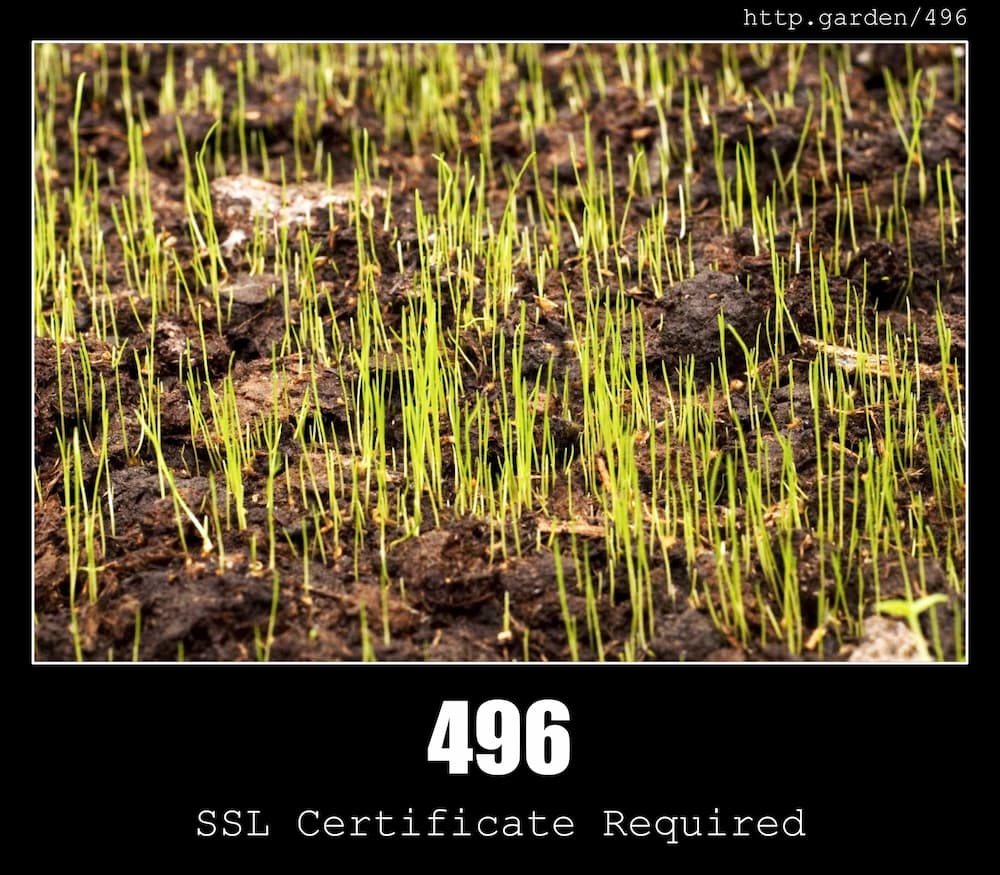 496 SSL Certificate Required - HTTP status code and cats!