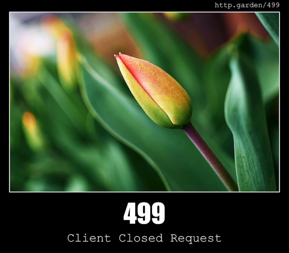 499 Client Closed Request - HTTP status code and cats!