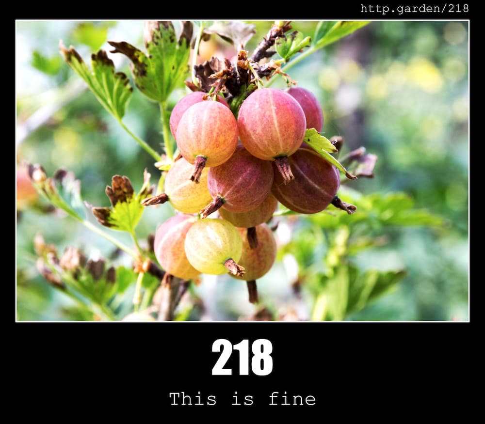 Gardening with HTTP Status Codes